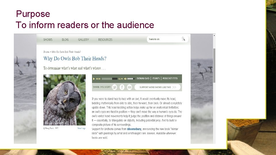 Writing Academic Essays ENGL 1101 Objectives Reading Closely