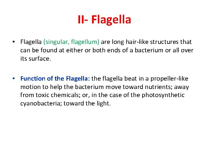 BACTERIA CLS 212 Medical Microbiology Prokaryotes Prokaryotic cells