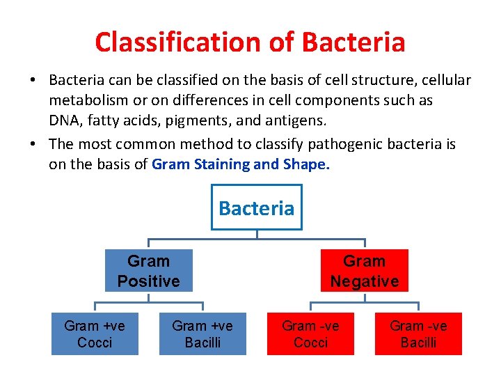 BACTERIA CLS 212 Medical Microbiology Prokaryotes Prokaryotic cells