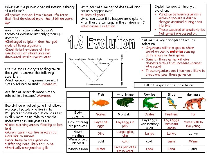 What was the principle behind Darwins theory of