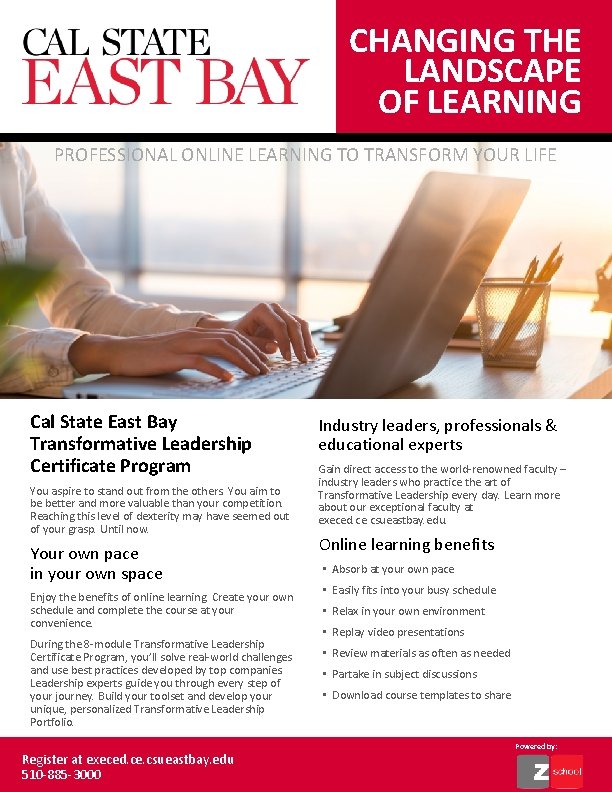 CHANGING THE LANDSCAPE OF LEARNING PROFESSIONAL ONLINE LEARNING