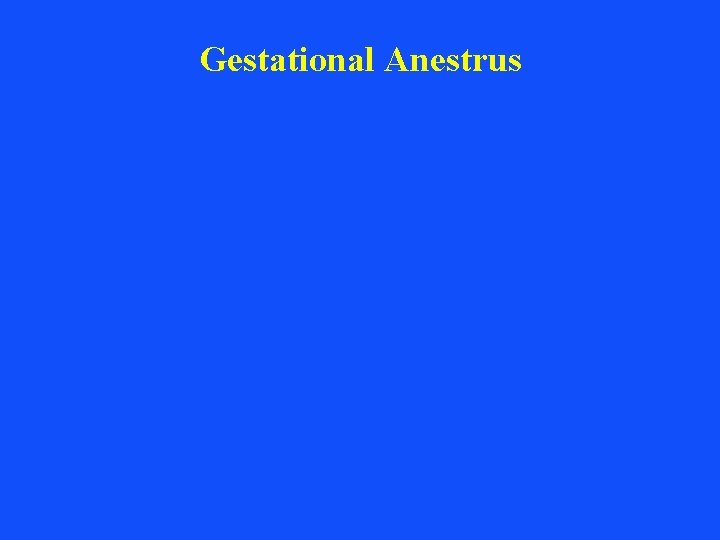 Animal Science 434 Reproductive Cyclicity in the Female