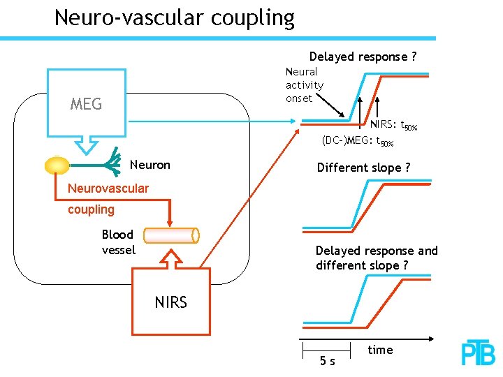 Multimodal Imaging MEGNIRS integration Neurovascular coupling ...