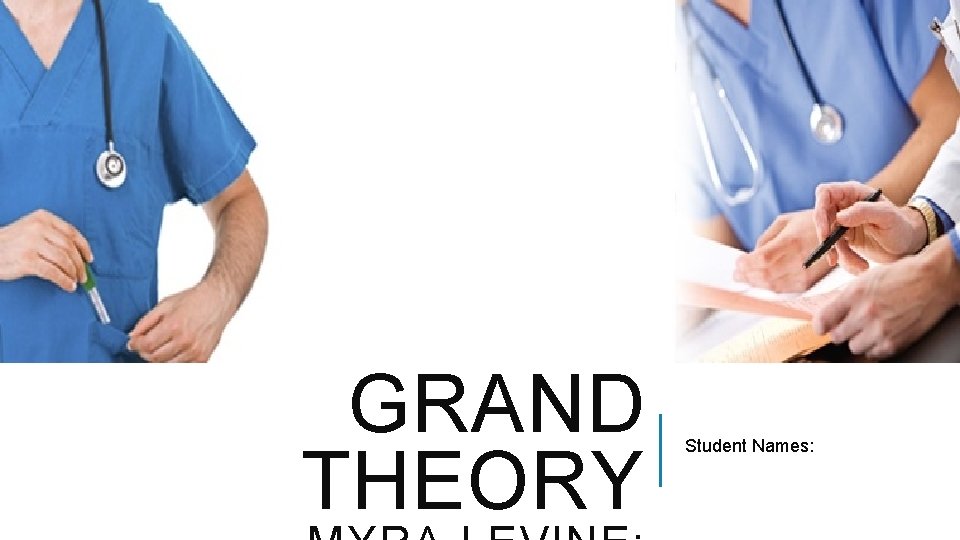 NURSING GRAND THEORY Student Names INTRODUCTION Conserving means