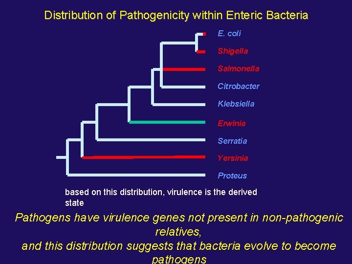 The Evolution of Infectious Disease Why are some