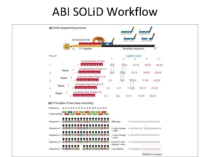 Introduction to Next Generation Sequencing Strategies For Interrogating