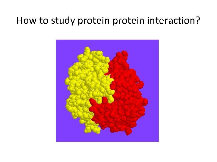 Proteinprotein interactions Introduction important field in cell biology