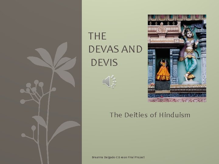 THE DEVAS AND DEVIS The Deities of Hinduism