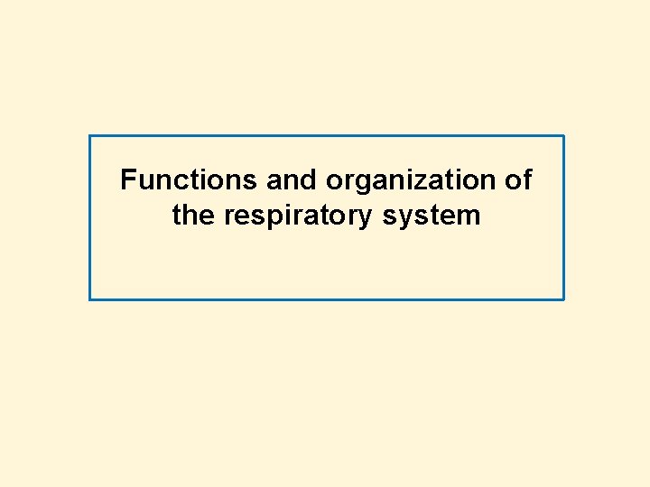 Respiratory Physiology Functions and organization of the respiratory