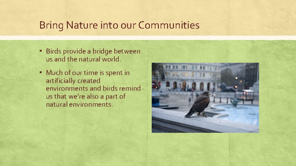 Creating BirdFriendly Communities By Tyler Abbott BirdFriendly Communities