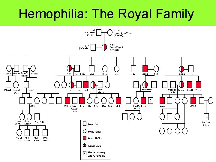 Complex Patterns of Inheritance Traits Influenced by Several
