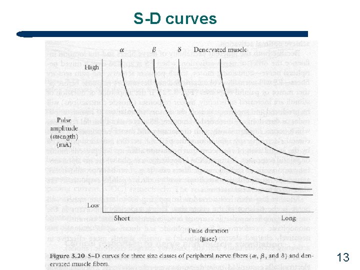 Basic Electrophysiology for Electrotherapy NanYing Yu Mar 4