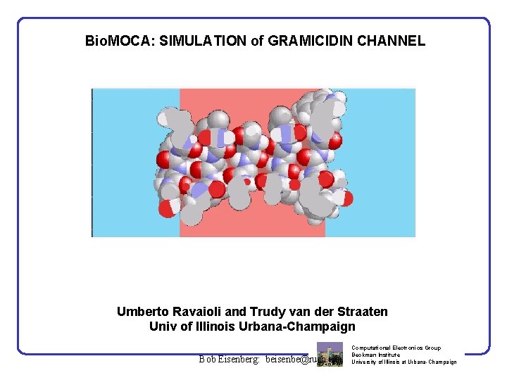 How can we use mathematics to describe biological