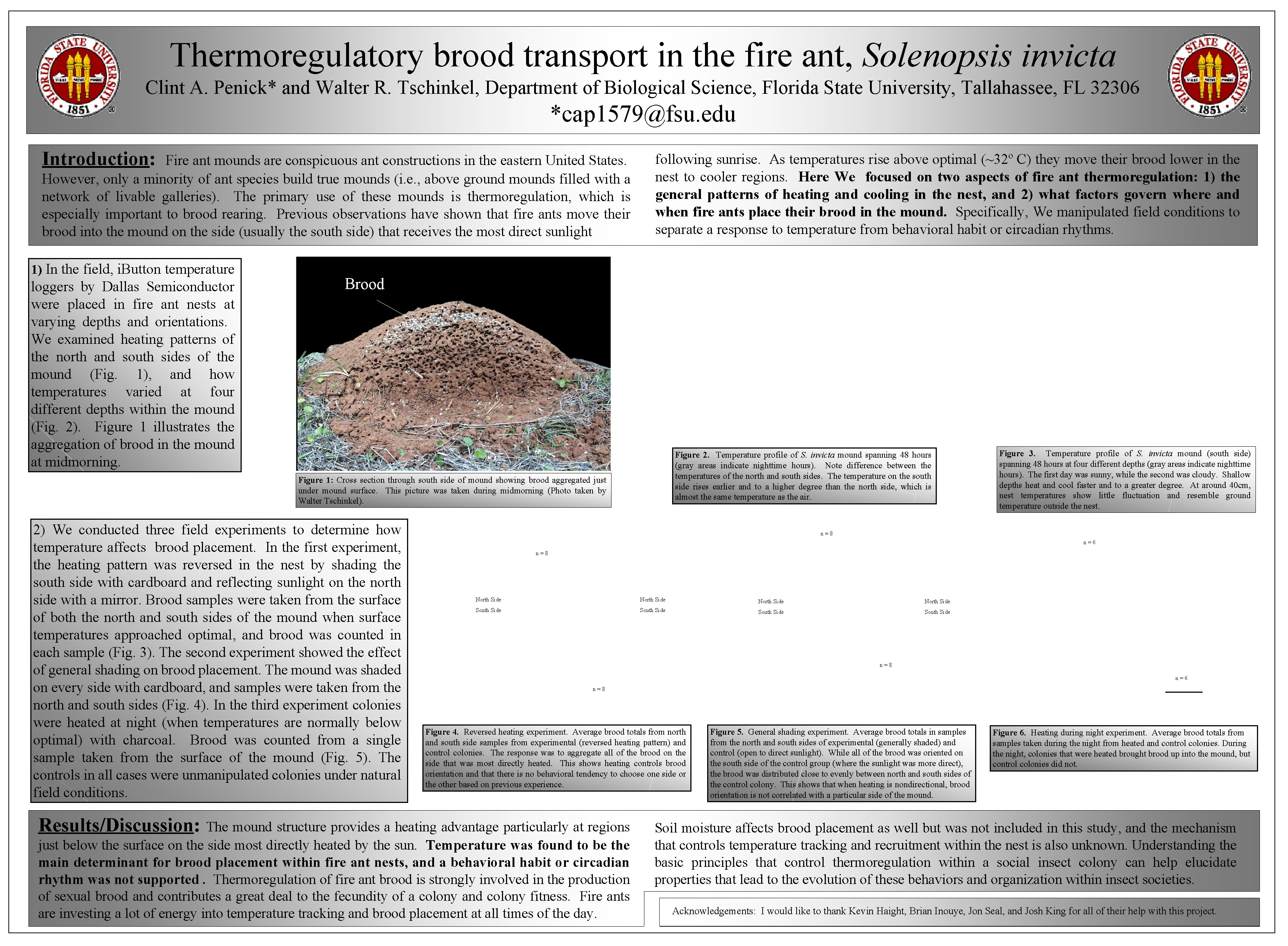 Thermoregulatory brood transport in the fire ant Solenopsis
