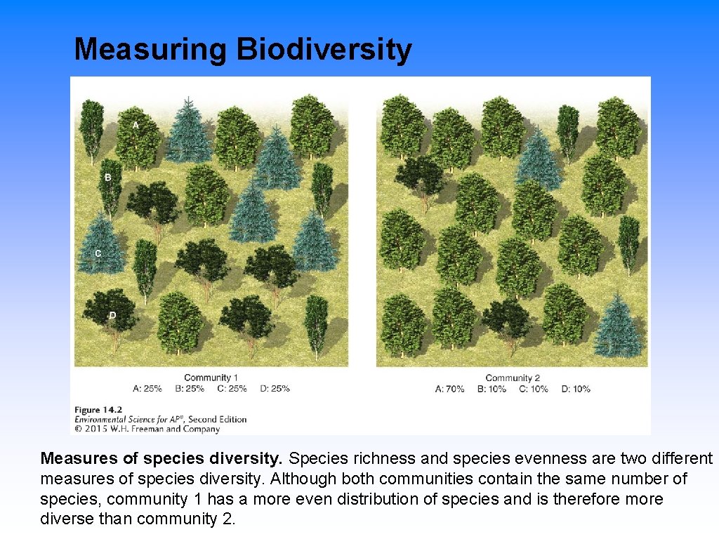 Chapter 5 Evolution of Biodiversity Friedland Relyea Environmental