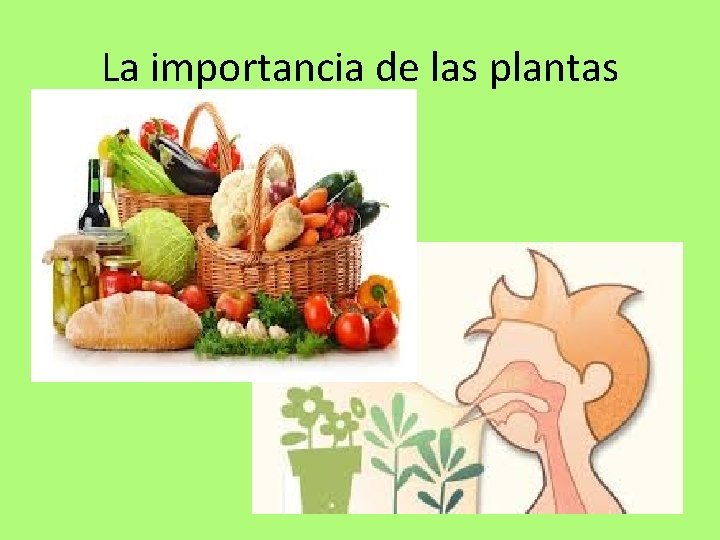 La importancia de las plantas Objetivo de la