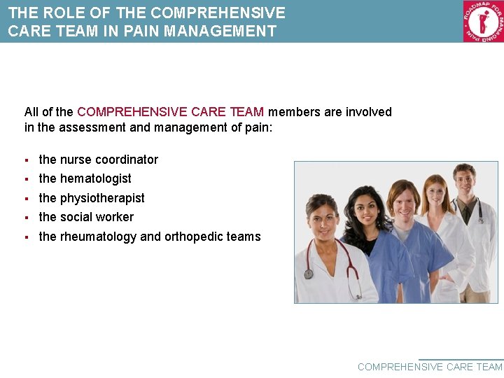 Roadmap for managing pain Supported by PURPOSE Roadmap