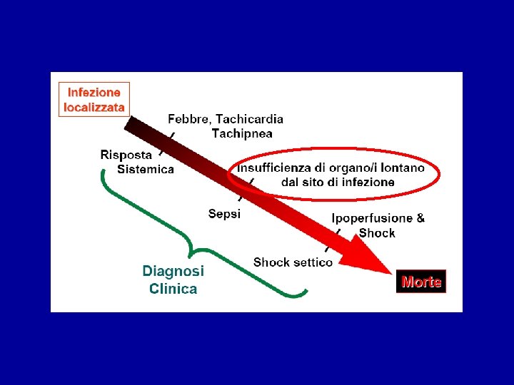 Epidemiologia Della Sepsi Dott Paolo Magri UO Medicina