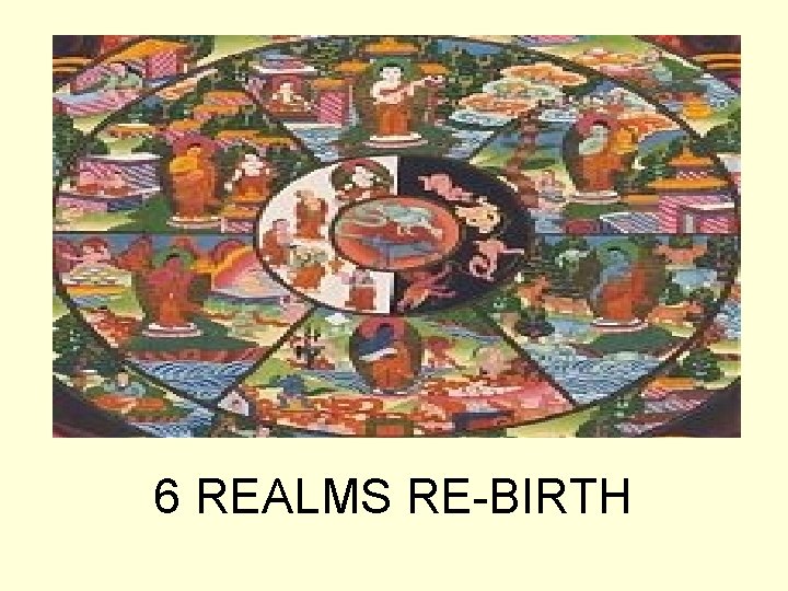 3 ROOT POISONS Hub of the wheel The