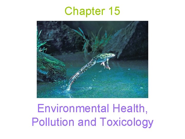 Chapter 15 Environmental Health Pollution and Toxicology Terminology