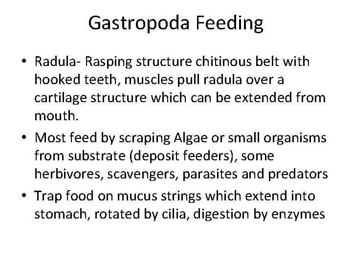 Molluscs Most Complex of the Invertebrates Molluscan Success