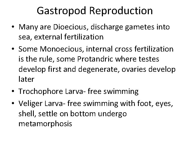 Molluscs Most Complex of the Invertebrates Molluscan Success