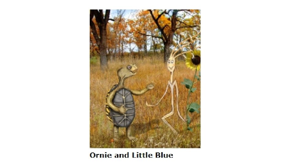 Little Bluestems Story Our Kansas State Grass From