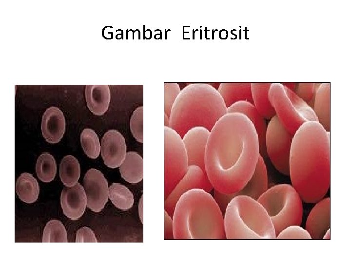 ANATOMI DAN FISIOLOGI PEMBULUH DARAH Nova Fridalni Anatomi