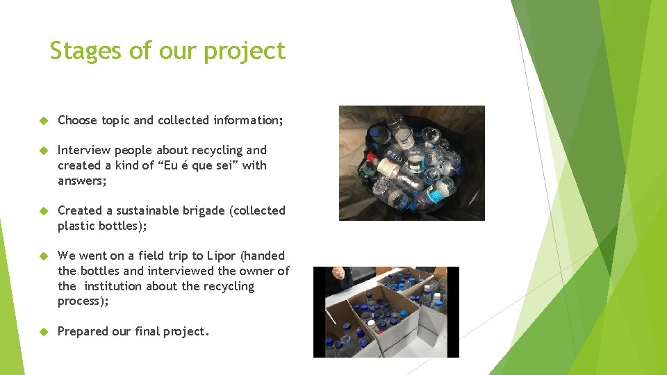 Sustainability Recycling Group 4 Project done by Beatriz