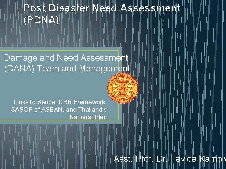 Post Disaster Need Assessment PDNA Damage and Need