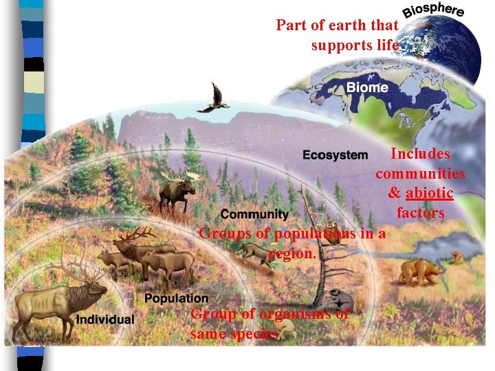 Introduction to Ecology Organisms and Their Environments Ecology