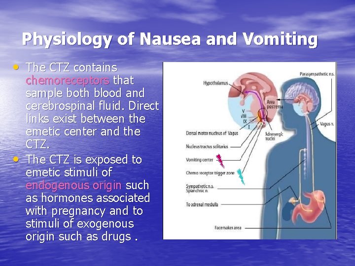 Minor Ailments of Pregnancy Prepared Presented By Morsi