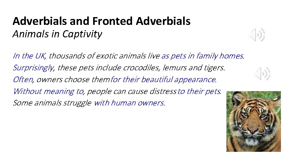 Adverbials and Fronted Adverbials Animals in Captivity What