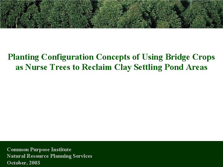 Planting Configuration Concepts of Using Bridge Crops as