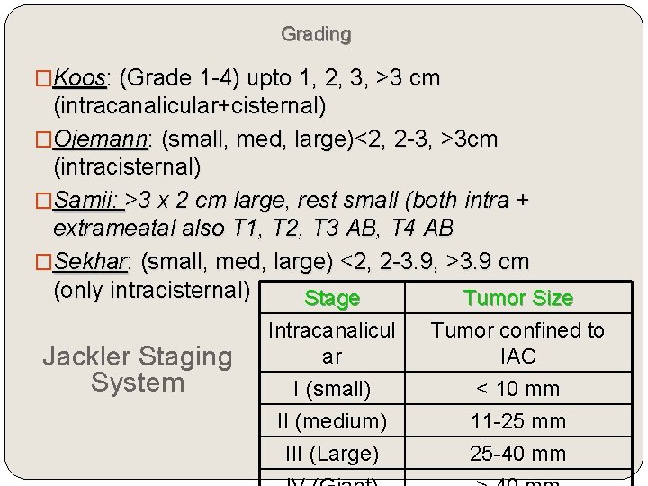 ACOUSTIC NEUROMA DIAGNOSIS AND MANAGEMENT Introduction Vestibular ...