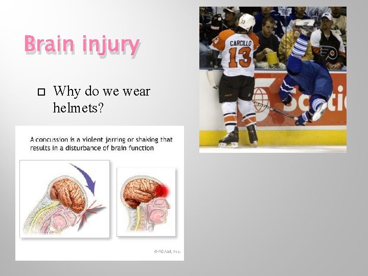 CNS NOTES Parts of the Brain CNS BRAIN