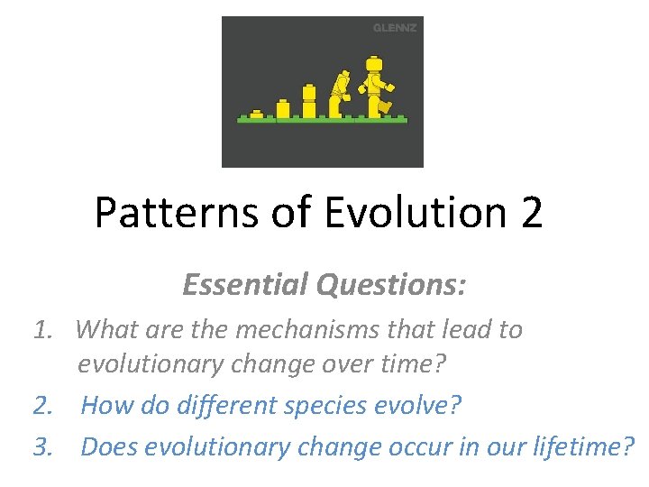 Patterns of Evolution 2 Essential Questions 1 What