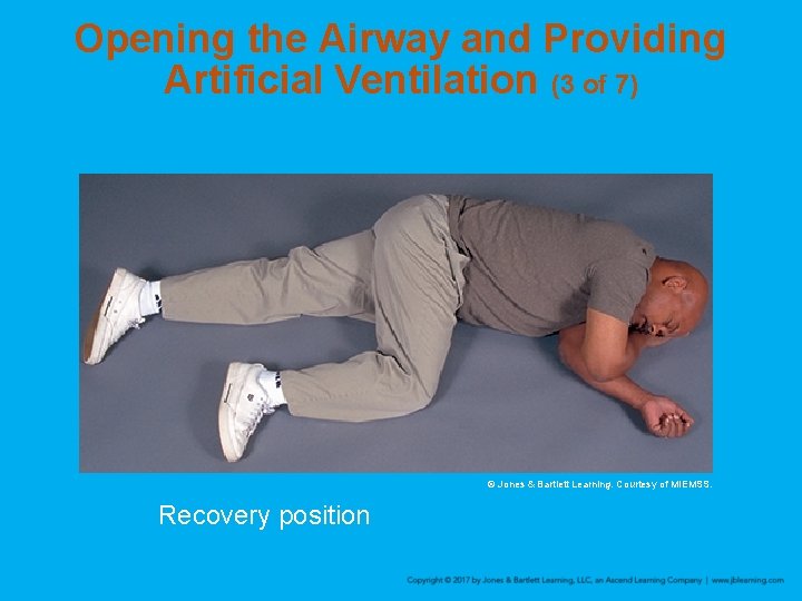 Chapter 13 BLS Resuscitation Introduction The principles of