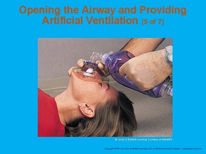 Chapter 13 BLS Resuscitation Introduction The principles of
