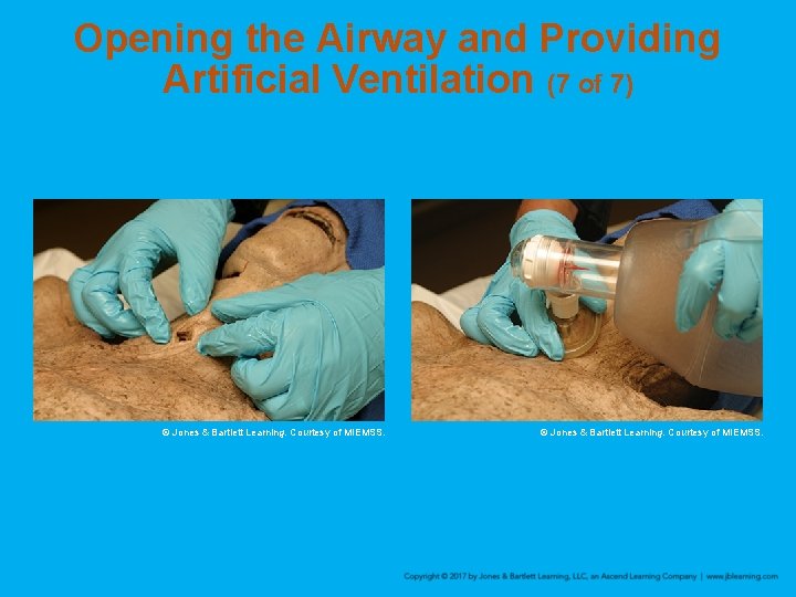 Chapter 13 BLS Resuscitation Introduction The principles of