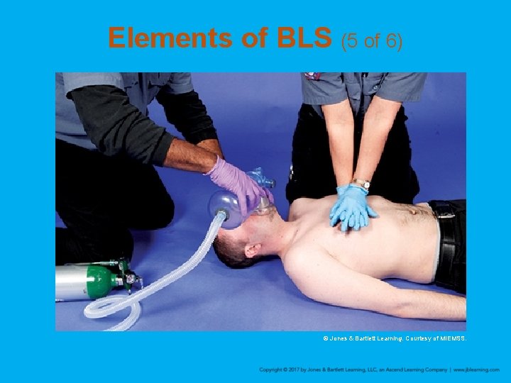 Chapter 13 BLS Resuscitation Introduction The principles of