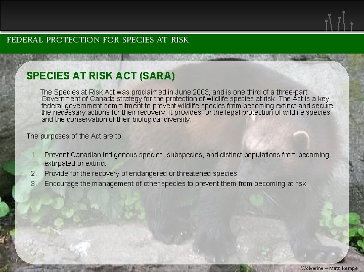 Identification Management of Red and Blue SpeciesEcological Communities