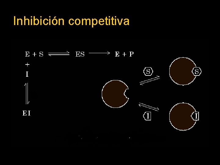 Qumica Biolgica Seminario Enzimas Definicin Son catalizadores biolgicos