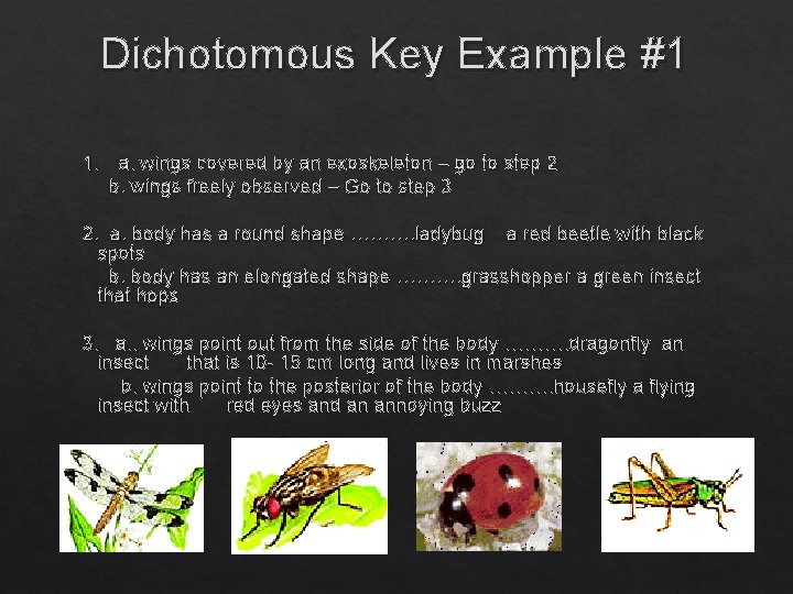 Name three difference between these two birds Classification