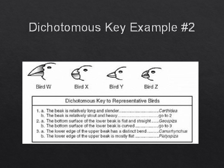 Name three difference between these two birds Classification