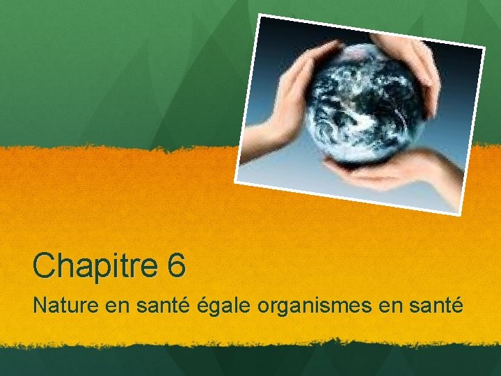Chapitre 6 Nature en sant gale organismes en