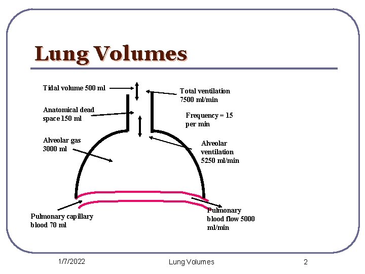 Lung Volumes 172022 Lung Volumes 1 Lung Volumes