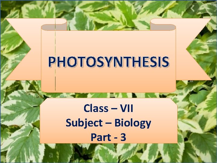 PHOTOSYNTHESIS Class VII Subject Biology Part 3 To