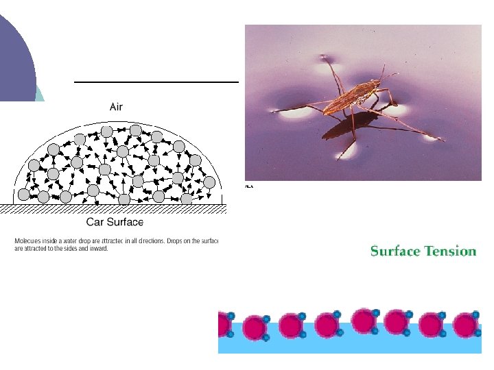 NOTES Chapter 15 Water and Aqueous Systems Chapter