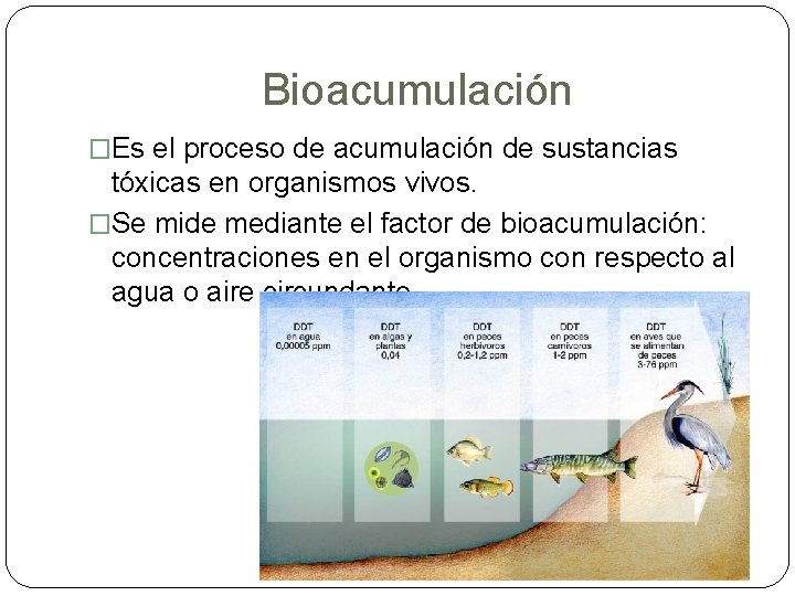 Circulacin de materia y energa en la Biosfera